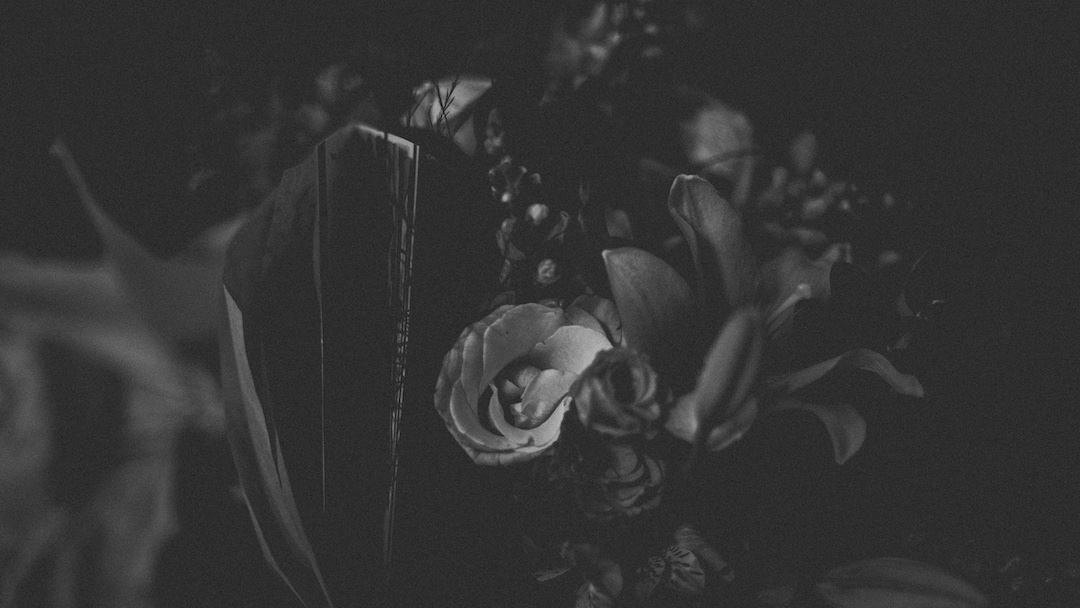 Expert Sleepers Aloysius