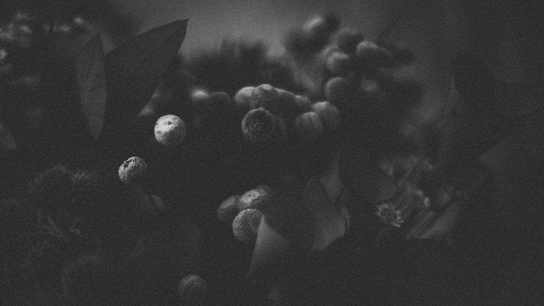 Expert Sleepers Amelia